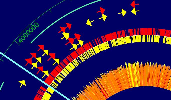 GenVision Genome Mapping Software | DNASTAR