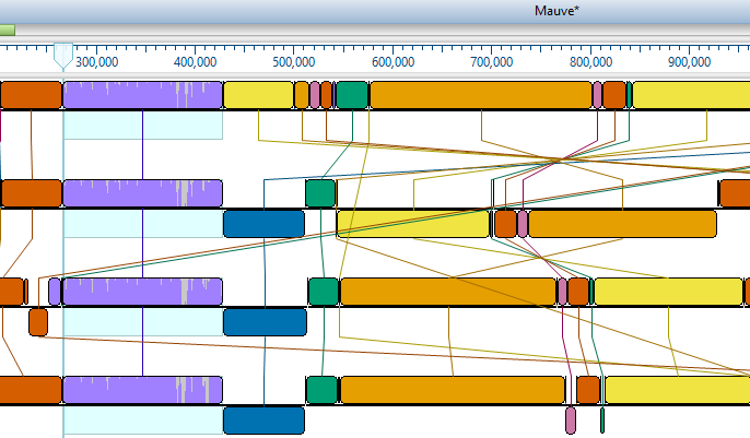 MegAlign Pro Sequence Alignment Software | DNASTAR