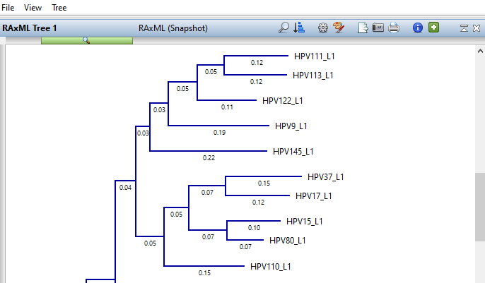 MegAlign Pro Sequence Alignment Software | DNASTAR