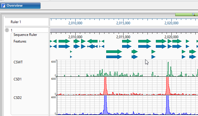 GenVision Pro Genome Viewer | DNASTAR