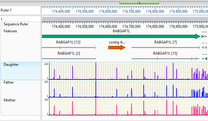 GenVision Pro Genome Viewer | DNASTAR