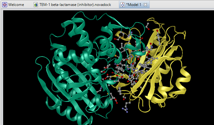 NovaDock Molecular Docking Software | DNASTAR