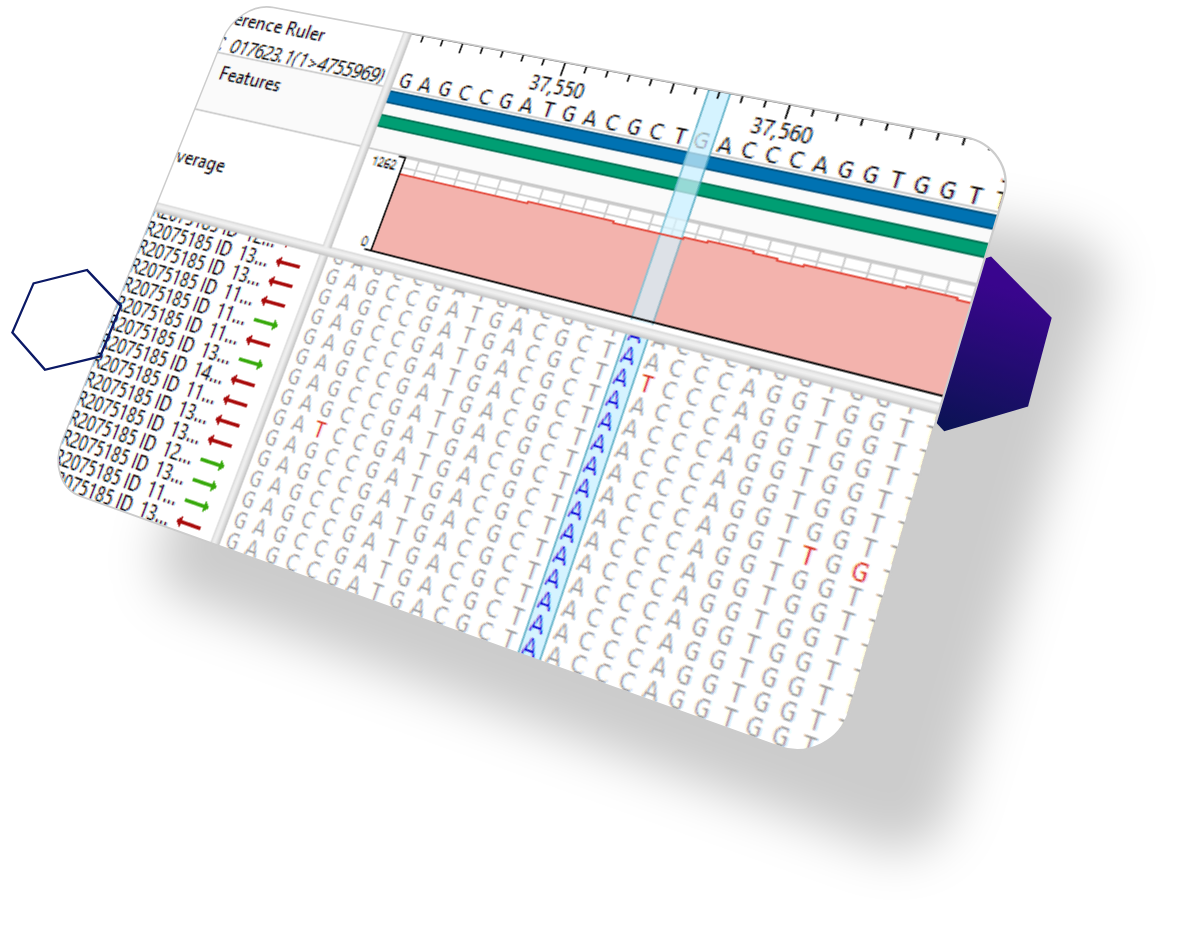 Bioinformatics Tools for Life Science | DNASTAR