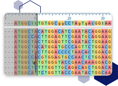 Bioinformatics Software | DNASTAR