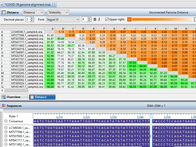 Viral Genome Analysis Software Workflow | DNASTAR