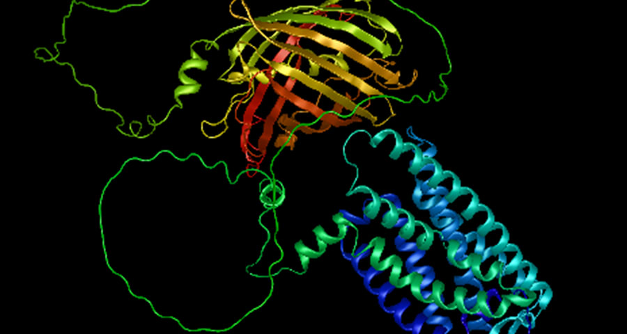 Lasergene 17.4.3 Release Notes | DNASTAR