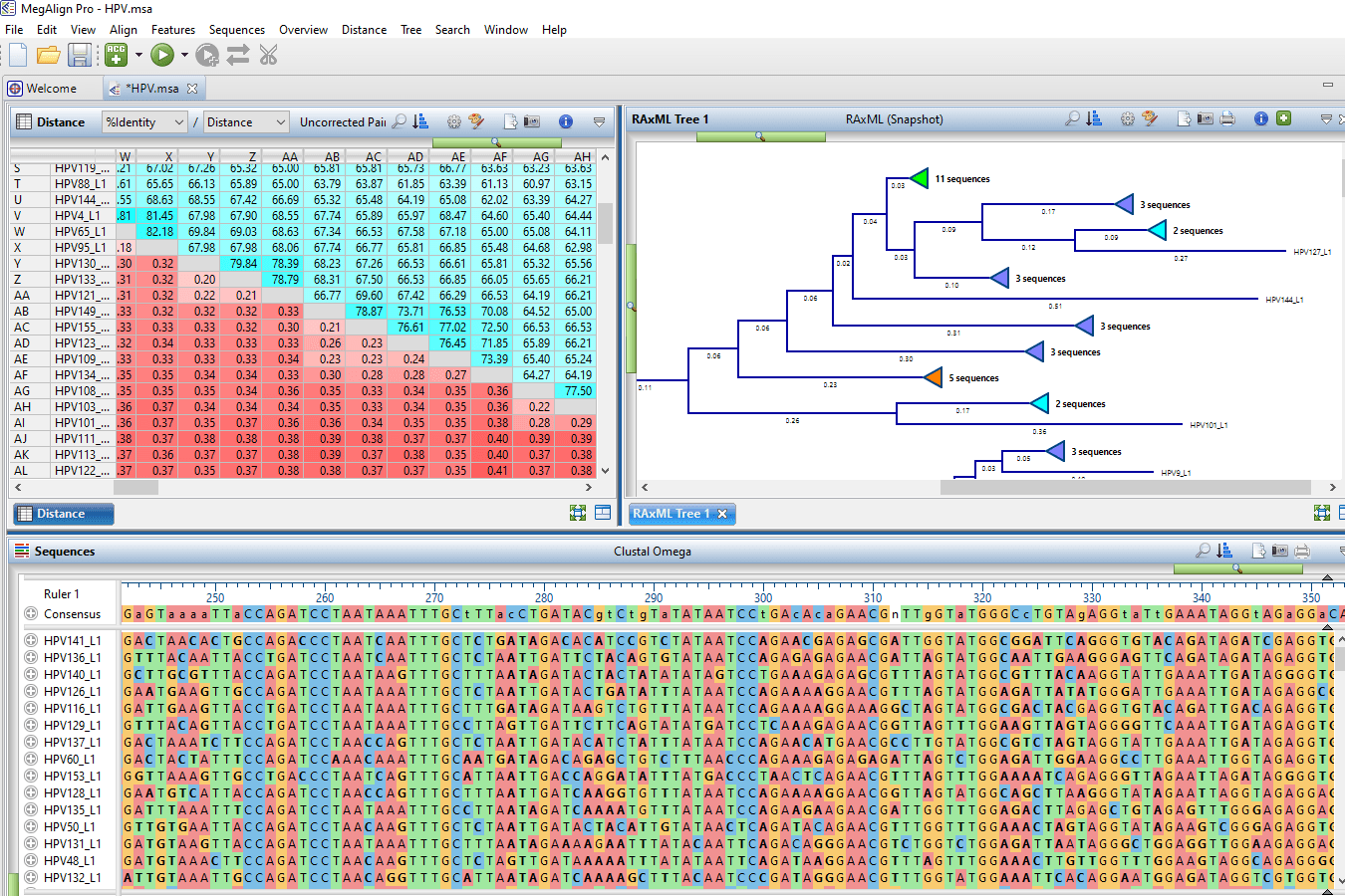 How to Create the Best Phylogenetic Tree for Your Data Using MegAlign ...