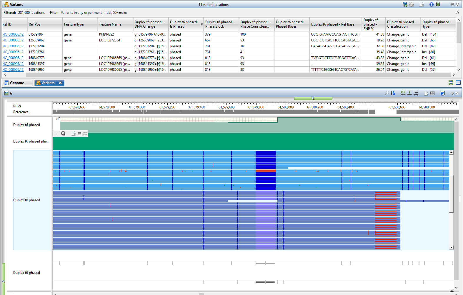 Phased Variant (Haplotype) Analysis for Whole Genome Sequencing | DNASTAR