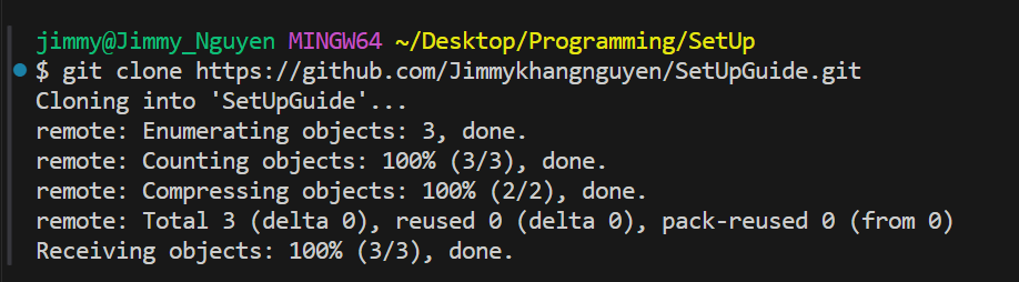 Viet Tech Mentorship Program