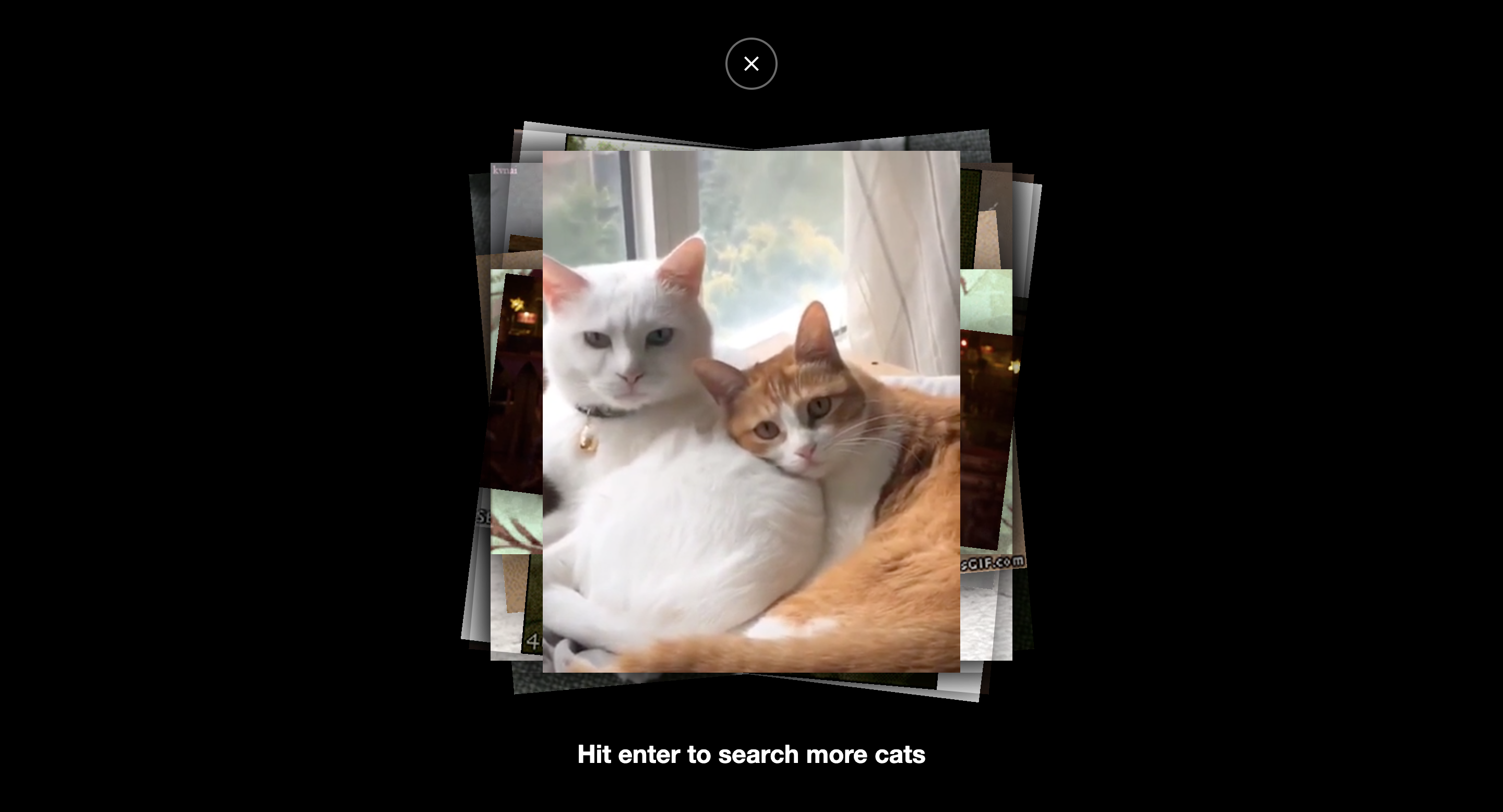 GitHub - SutheeDev/Jiffy: Jiffy lets you turn your words into GIFs, short videos, and memes ...