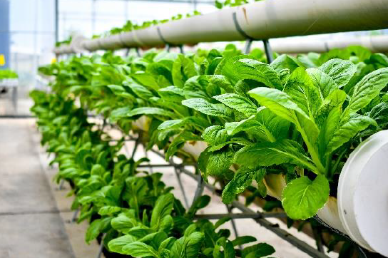 Environmental Monitoring and Control of Vertical Farming Installation ...