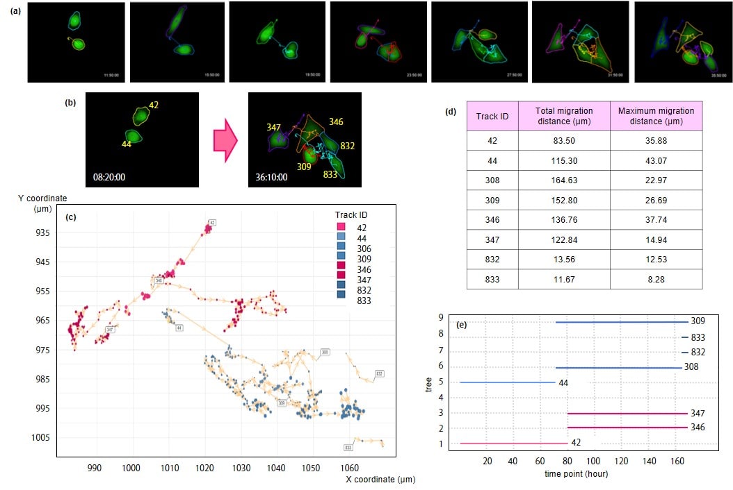 Live Cell Tracking Analysis | Yokogawa India