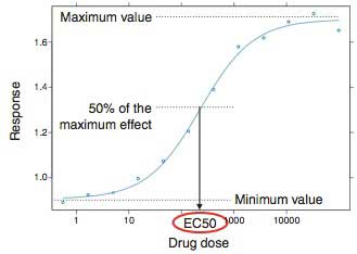Image Processing For Drug Discovery Test With Cultured Cells | Yokogawa ...