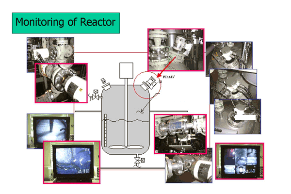Fieldeye Applications Monitoring of Reactor | Yokogawa Belgium (FR)