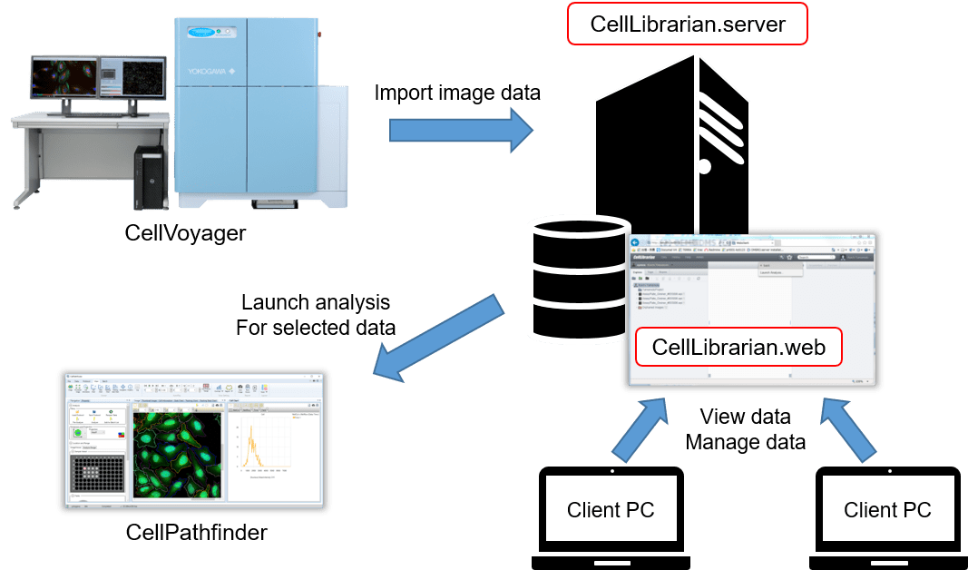 CellLibrarian, High-Content Data Management System | Yokogawa America