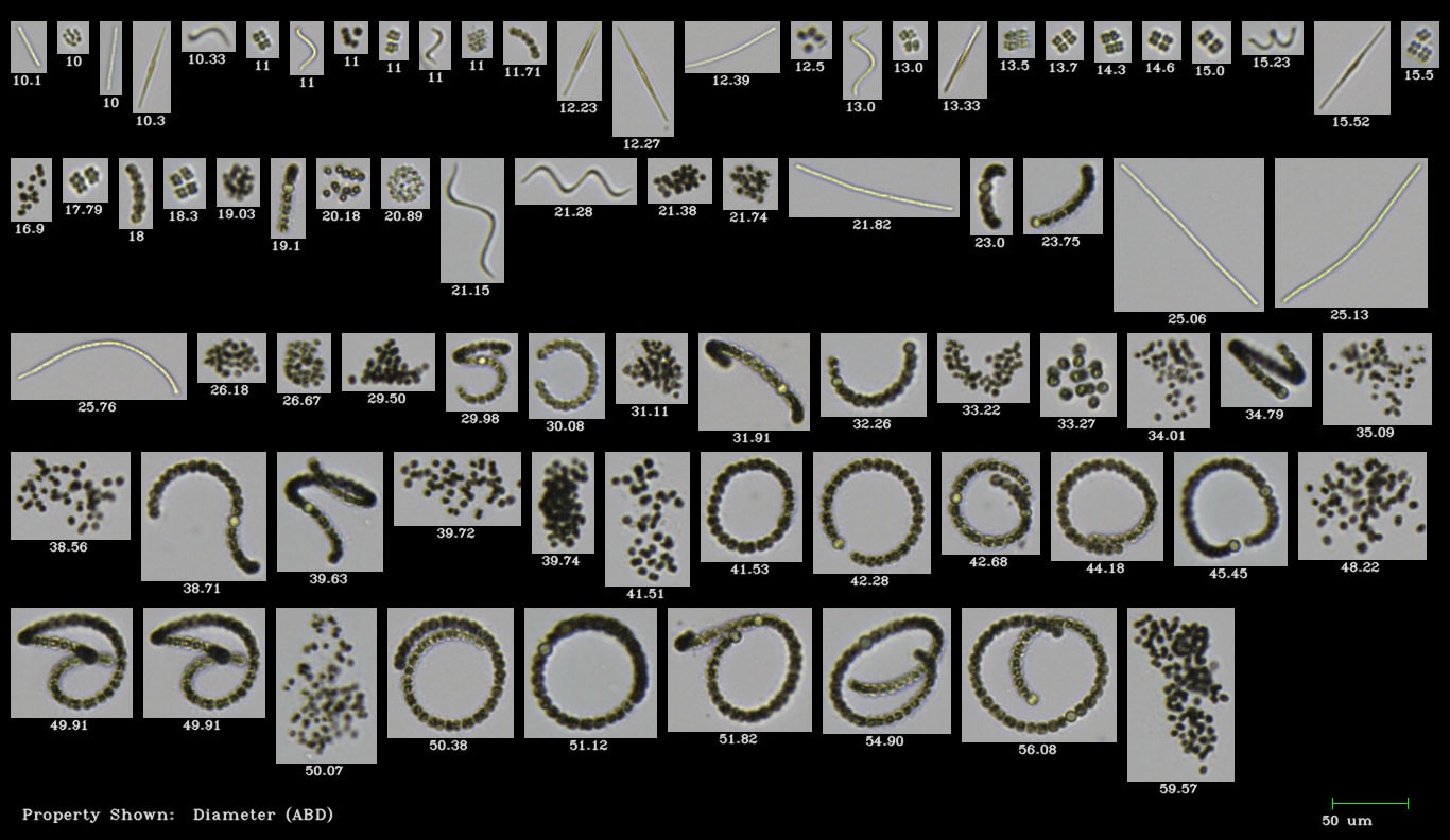 FlowCam Cyano | Yokogawa America