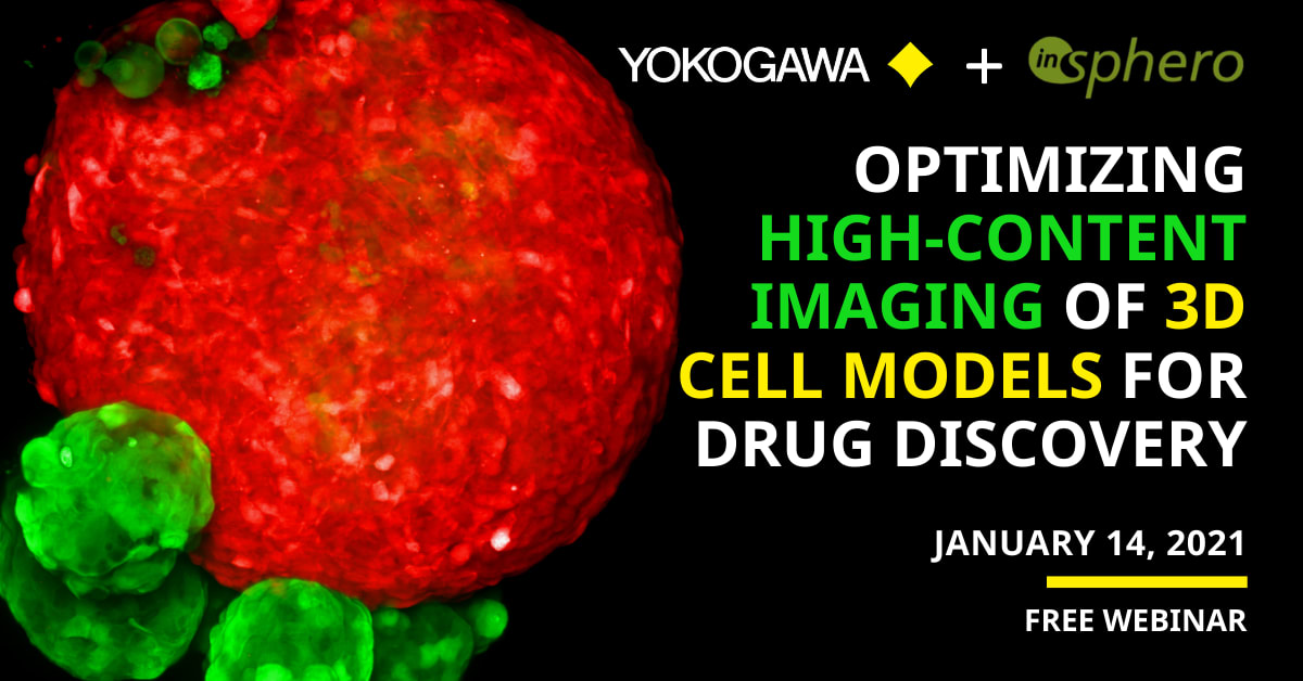Webinar: Optimizing High-Content Imaging of 3D Cell Models for Drug ...
