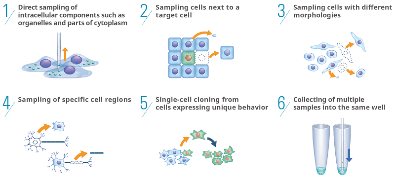 Subcellular Sampling System SS2000 | Yokogawa America