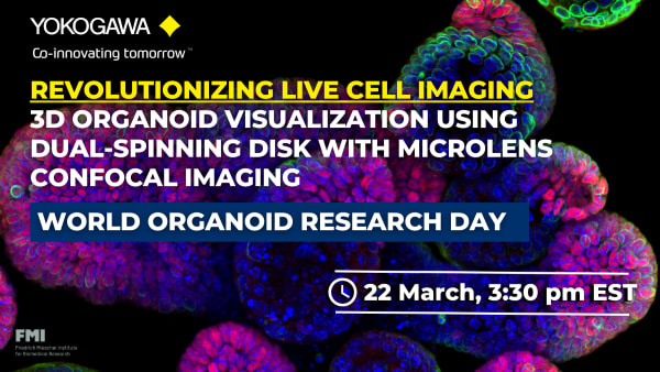 Revolutionizing Live Cell Imaging: 3D Organoid Visualization Using ...