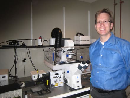 Interviews with Imaging Experts - Andrew J. Ewald, Ph.D | Yokogawa America