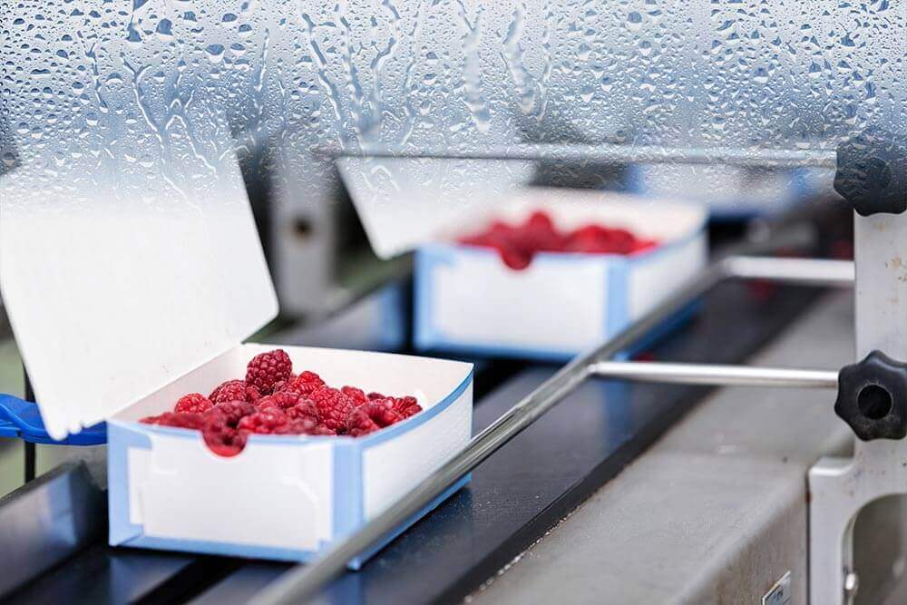 In a food-processing plant, small droplets can create big problems