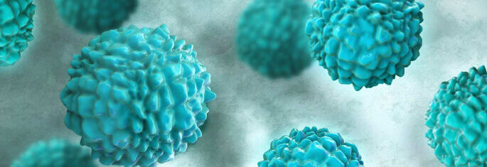 What are noroviruses?