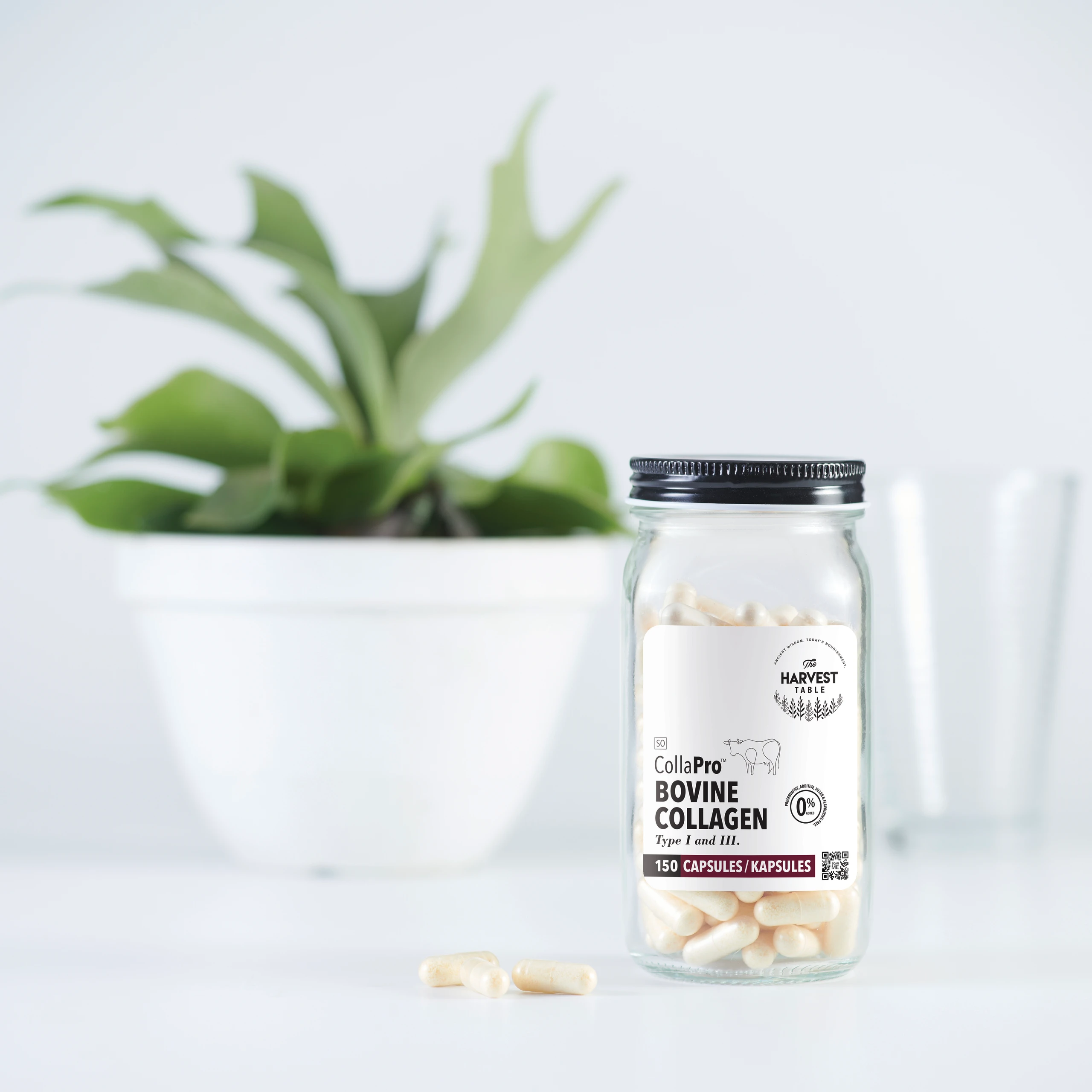 CollaPro™ Bovine Collagen Capsules - 5 Caps Daily | The Harvest Market