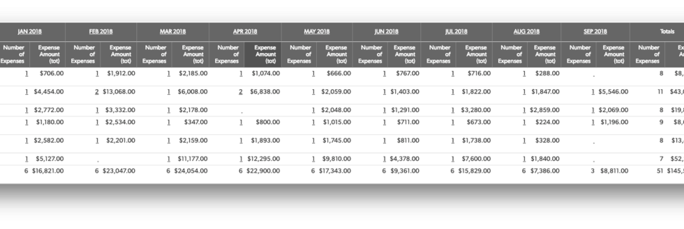 Report and Chart Types | BASICS - Quandary Consulting Group