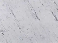 Bianca Carrara Marble (40)