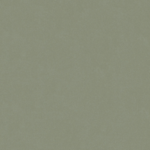 Shadow (425) | Kimball Hospitality