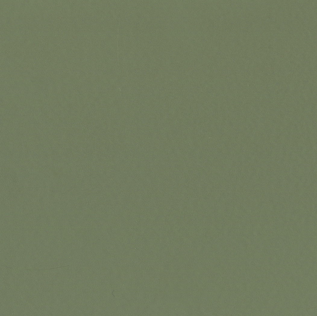 Morrel (454) | Paint