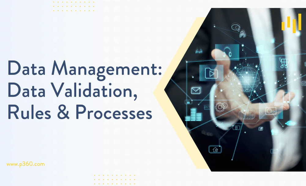 BirdzAI’s Master Data Management Module Streamlines Data Validation ...
