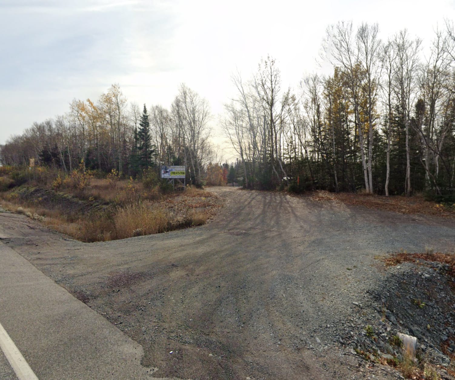 Newfoundland Backcountry Snowmobile Adventure | Springdale ...