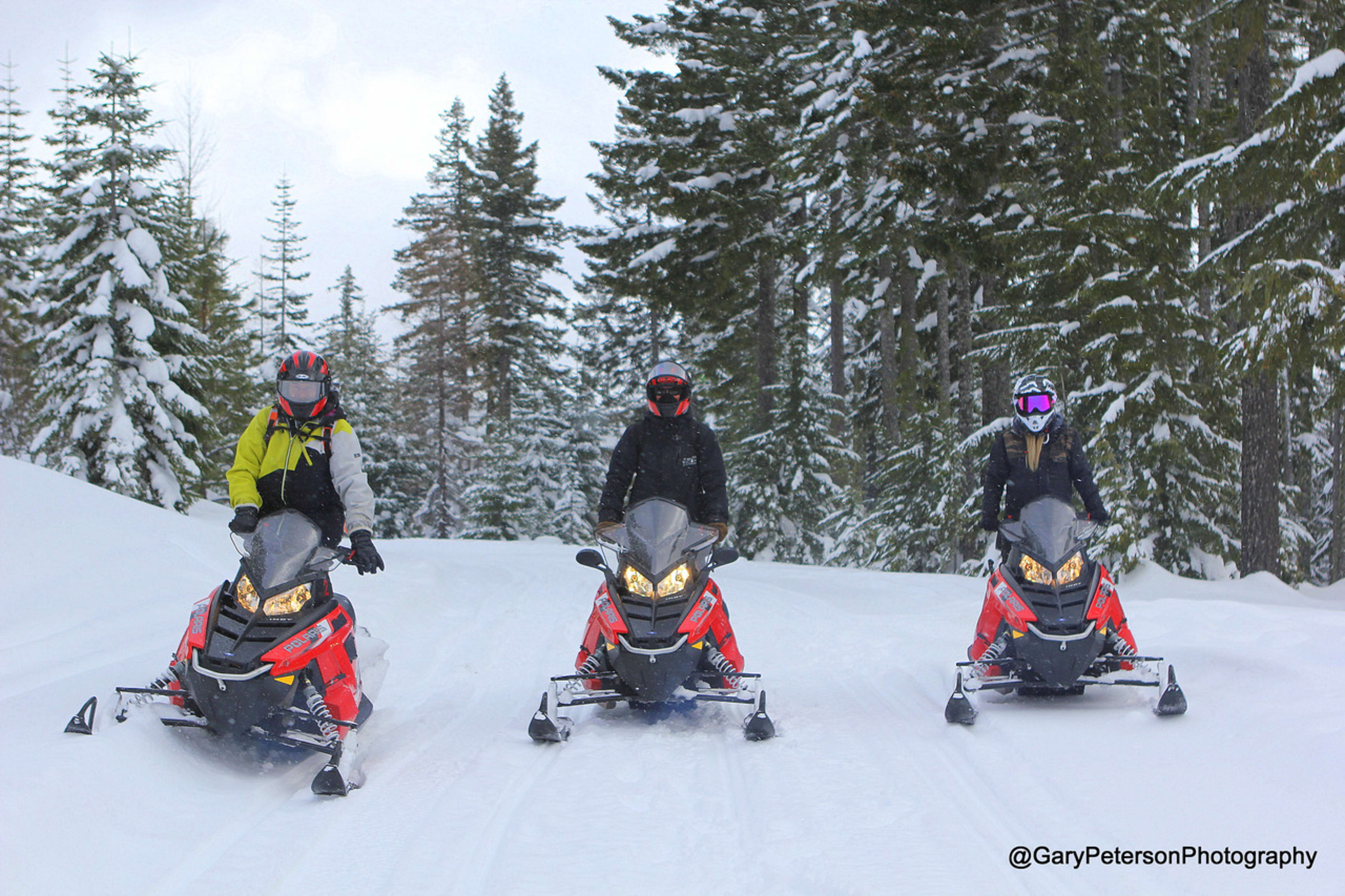 Guided Snowmobile Tours | Government Camp, Oregon | Polaris Adventures