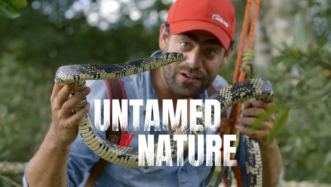 Learn Spanish Online with Indomable x Naturaleza