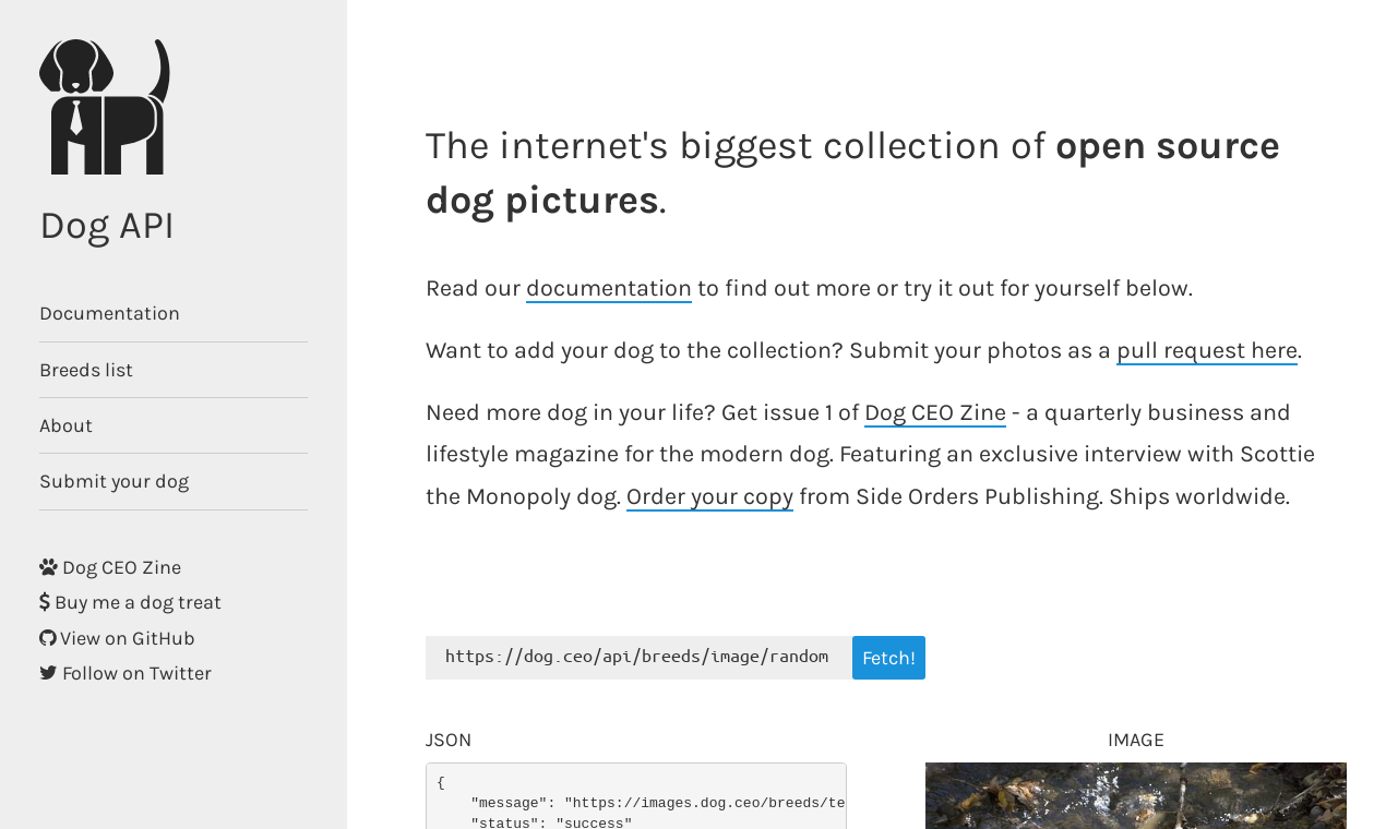 Dog API - Open Source Dog Pictures | Resource.fyi