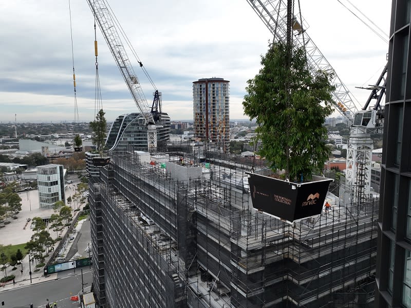 Housing density aligns with infrastructure at Green Square | Landcom