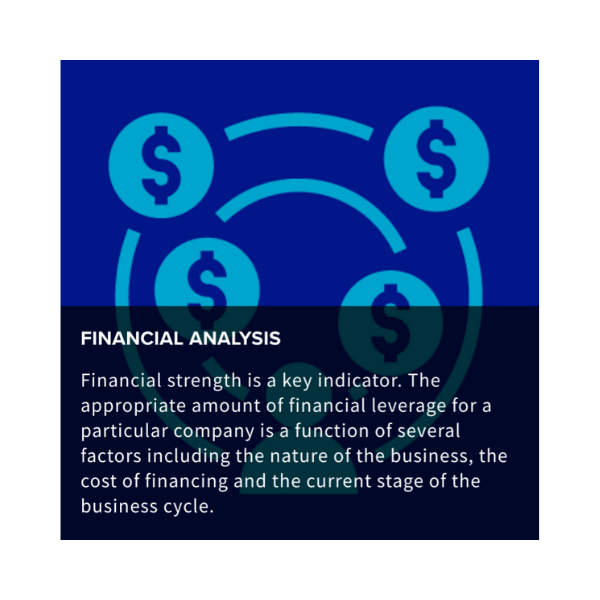 Fund — Israel Investment Advisors