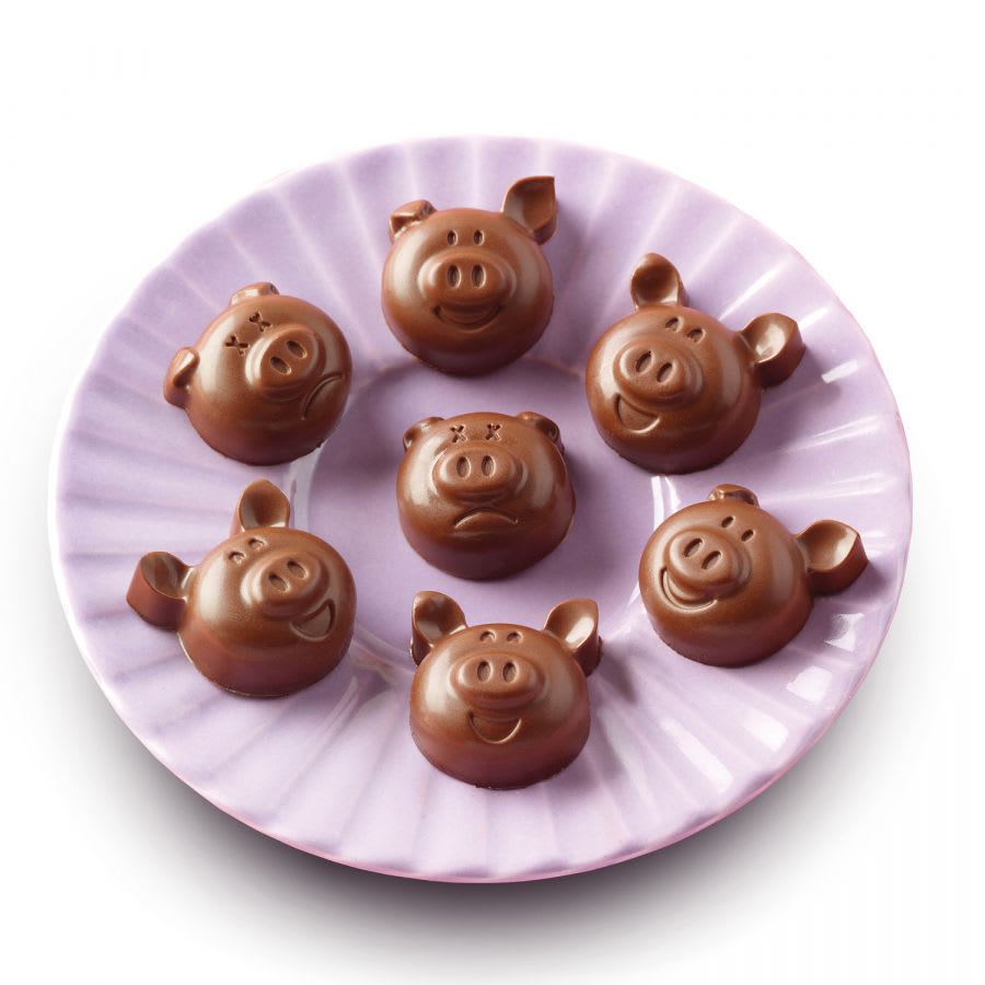 Scg35 Choco Pigs