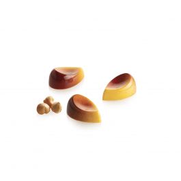 Aurora P - Moule en Tritan pour pralinés | Silikomart