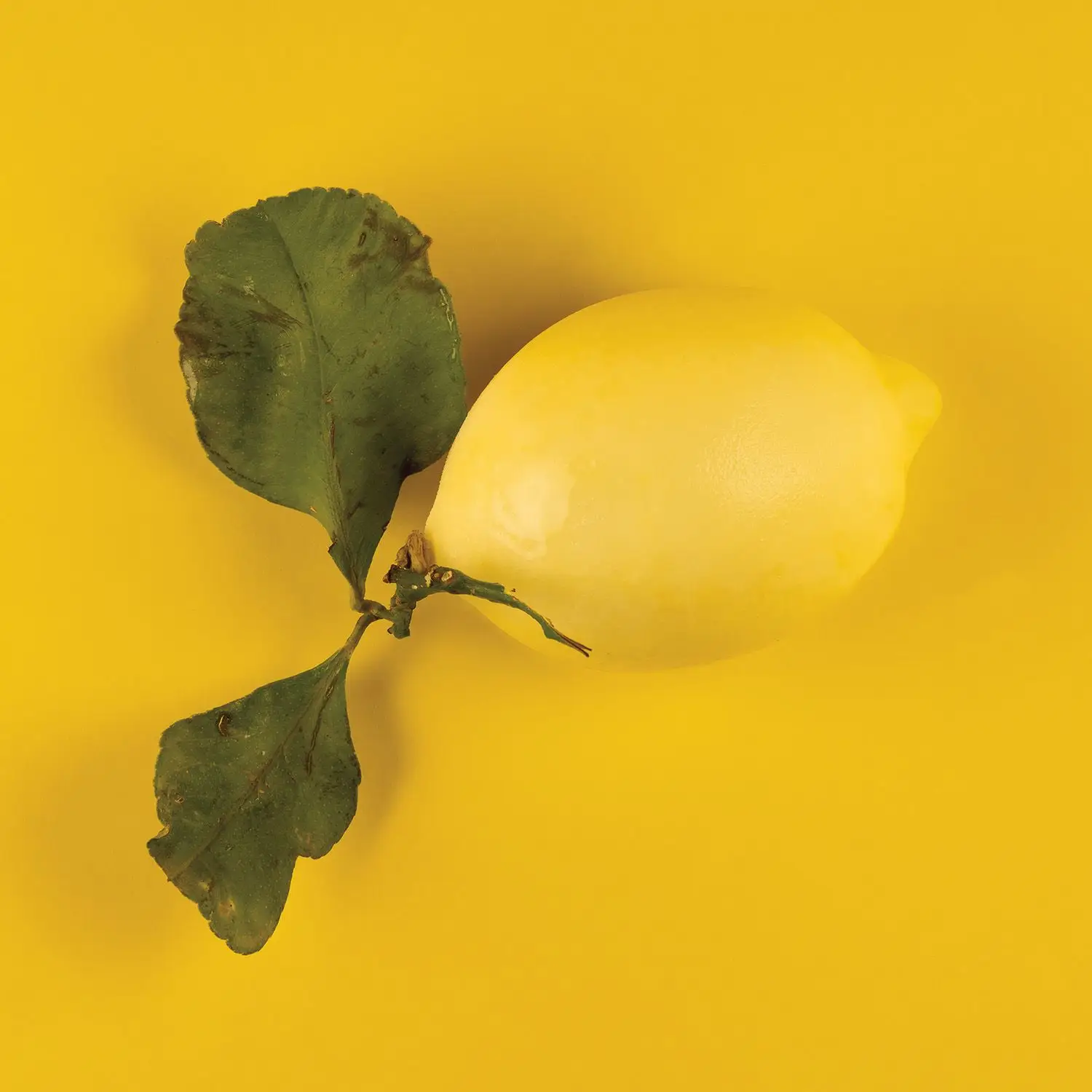 Limone & Lime 30