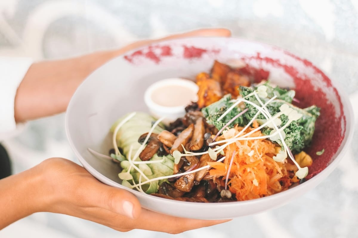 Dine at a vegan non-profit restaurant in NYC aiming to break the cycle ...