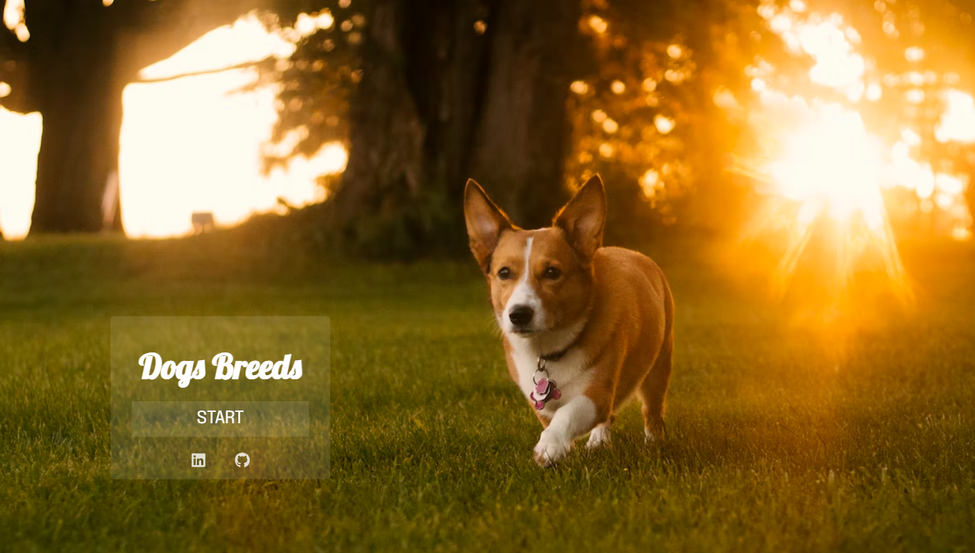 GitHub - aicaceres/api-dogs: Project with API Dogs and PERN stack