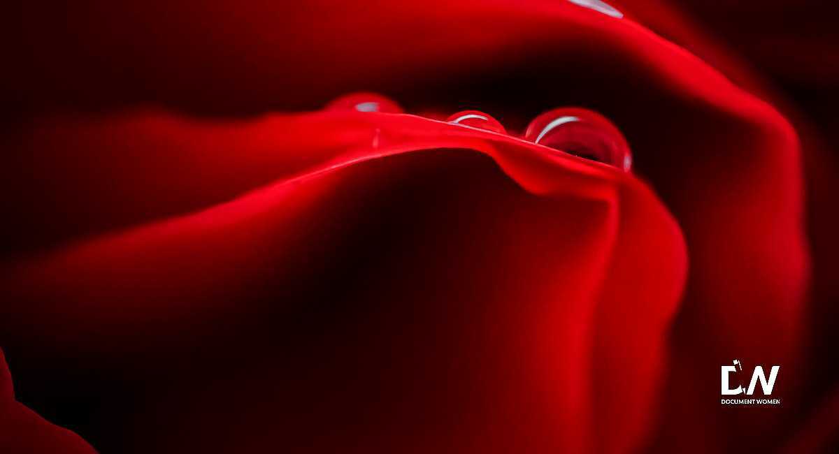 Document Women - Deflowered; The Impact of Purity Culture