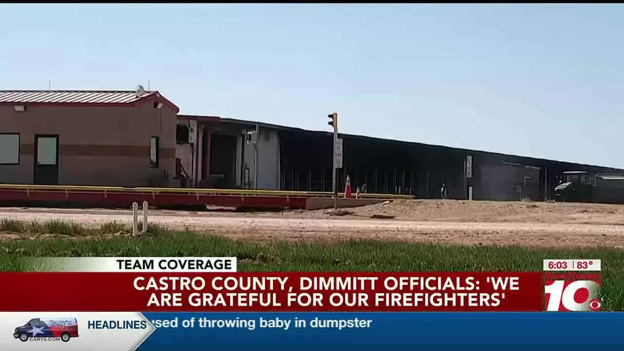Dimmitt Dairy Farm Explosion ‘by Far The Deadliest Barn Fire For Cattle