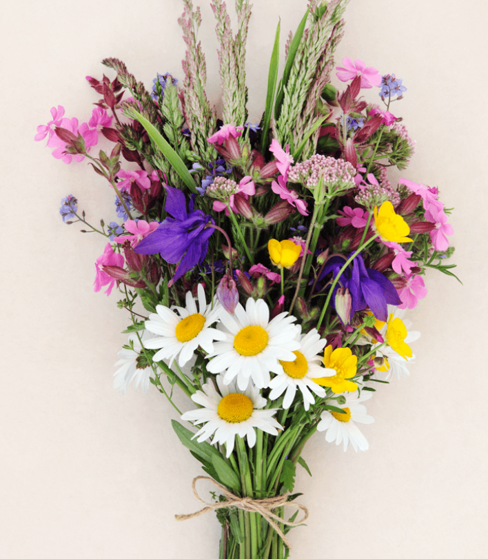 GitHub - MohamedElsayed002/nestjs-florist-app