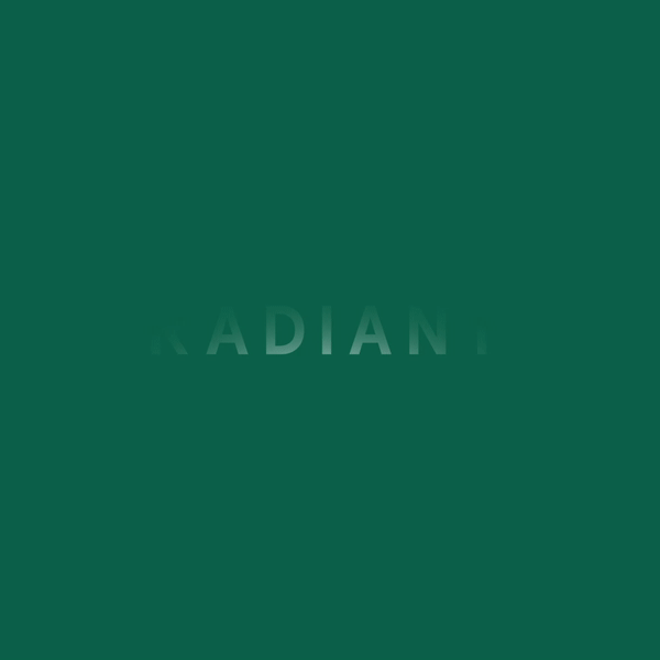 Radiant Shopify Agency: Ecommerce Site Design & Development