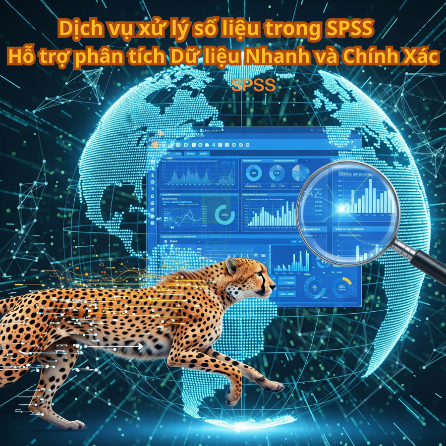 Dịch vụ xử lý số liệu trong SPSS – Hỗ trợ phân tích dữ liệu Nhanh & Chính xác - Dinhluong.net