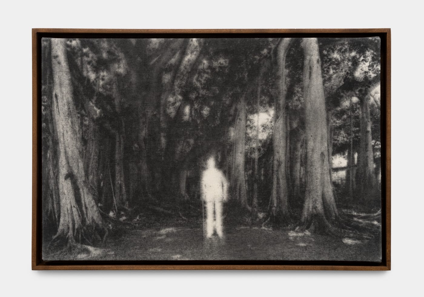 Docent - Edison Ghost