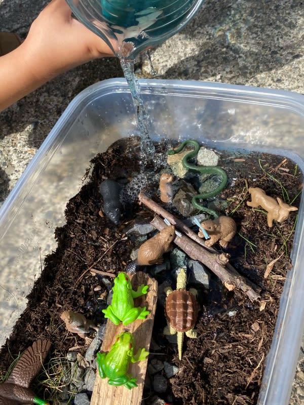 Engaging & Memorable River Unit Study for Pre-Kindergarten